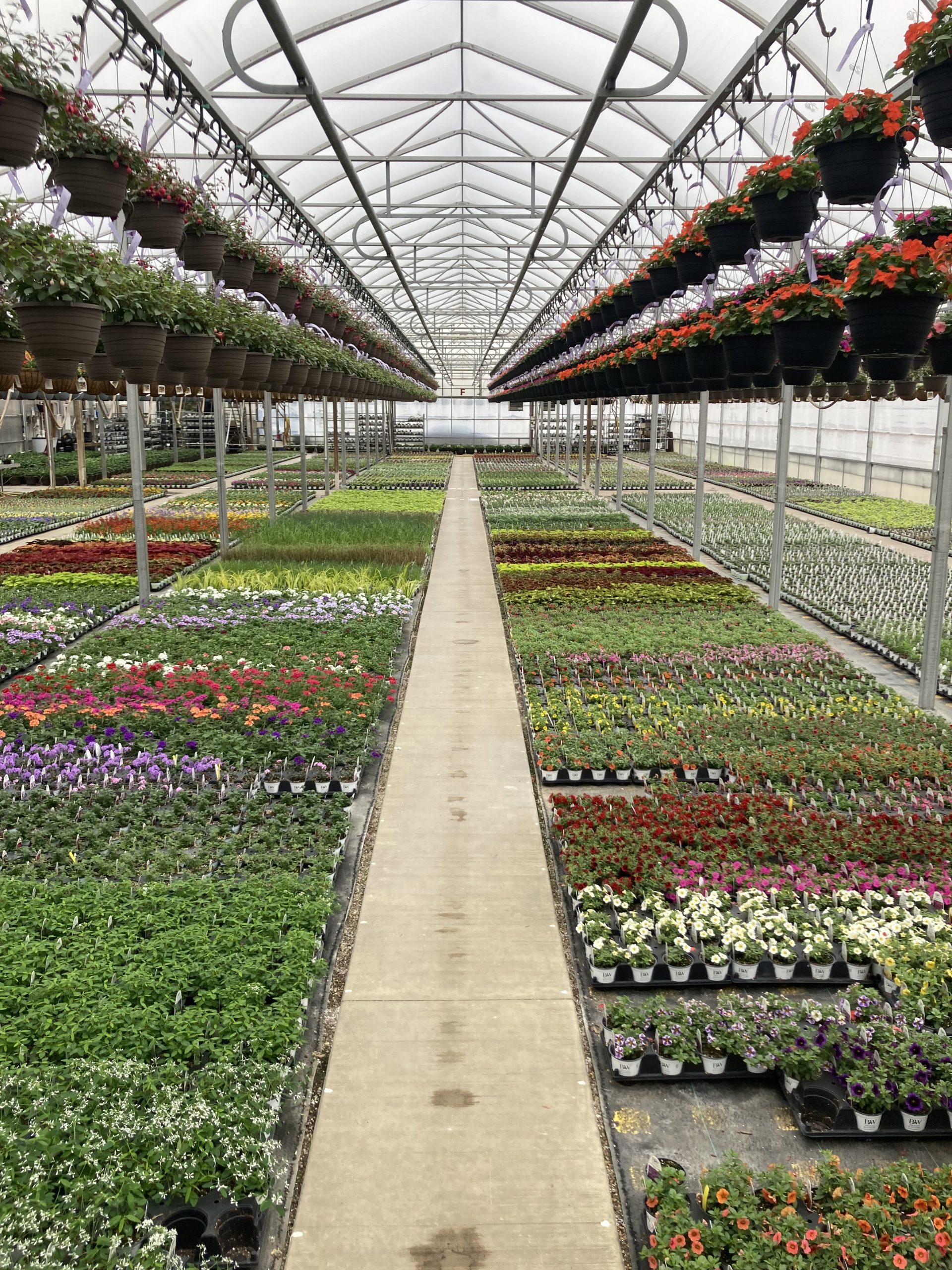 Supporting Minnesota's Pollinators - Sargent's - Rochester, MN