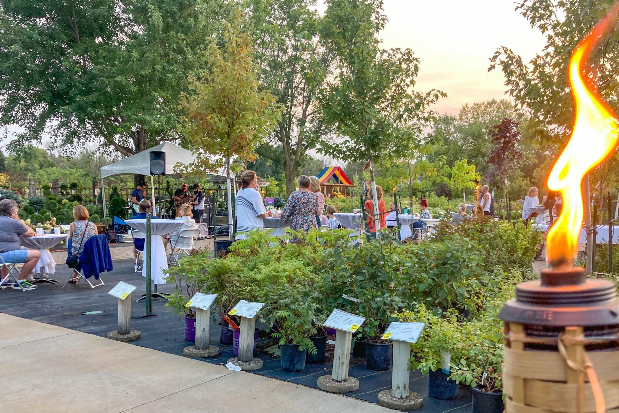 Smooth Summer Nights Recap: Coming Together in the Garden - Sargent's ...