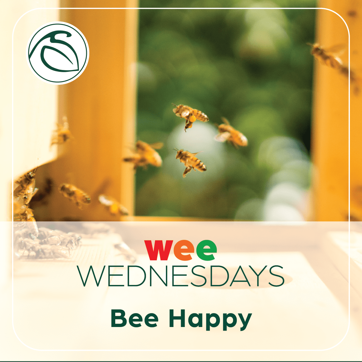 Events - Sargent's - Rochester, MN