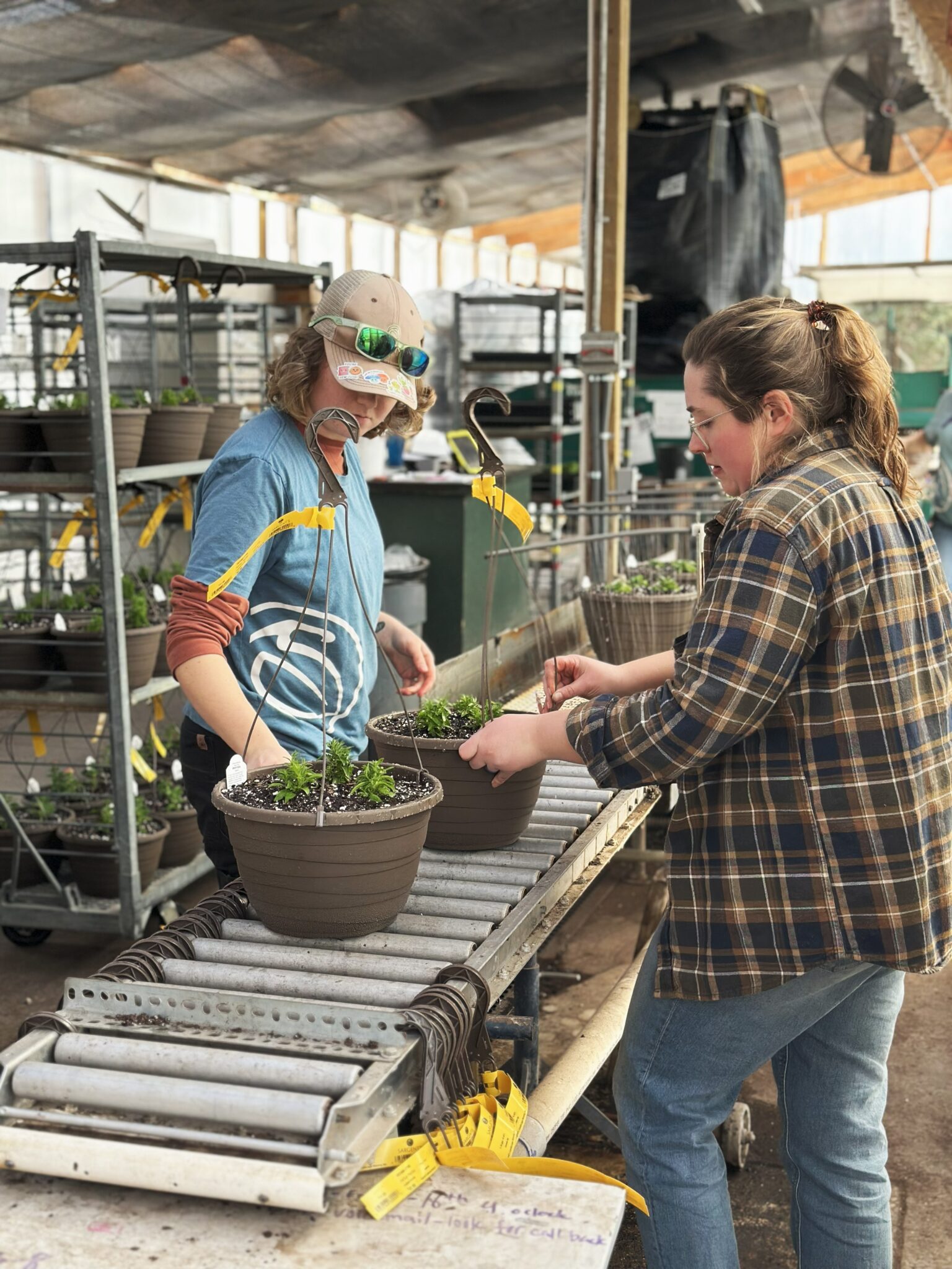 Employee Spotlight: Allyson Greden